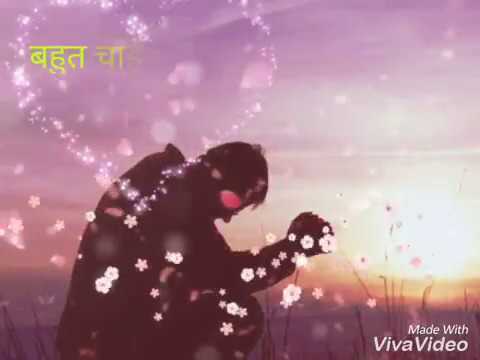 Best WhatsApp​ love status video,