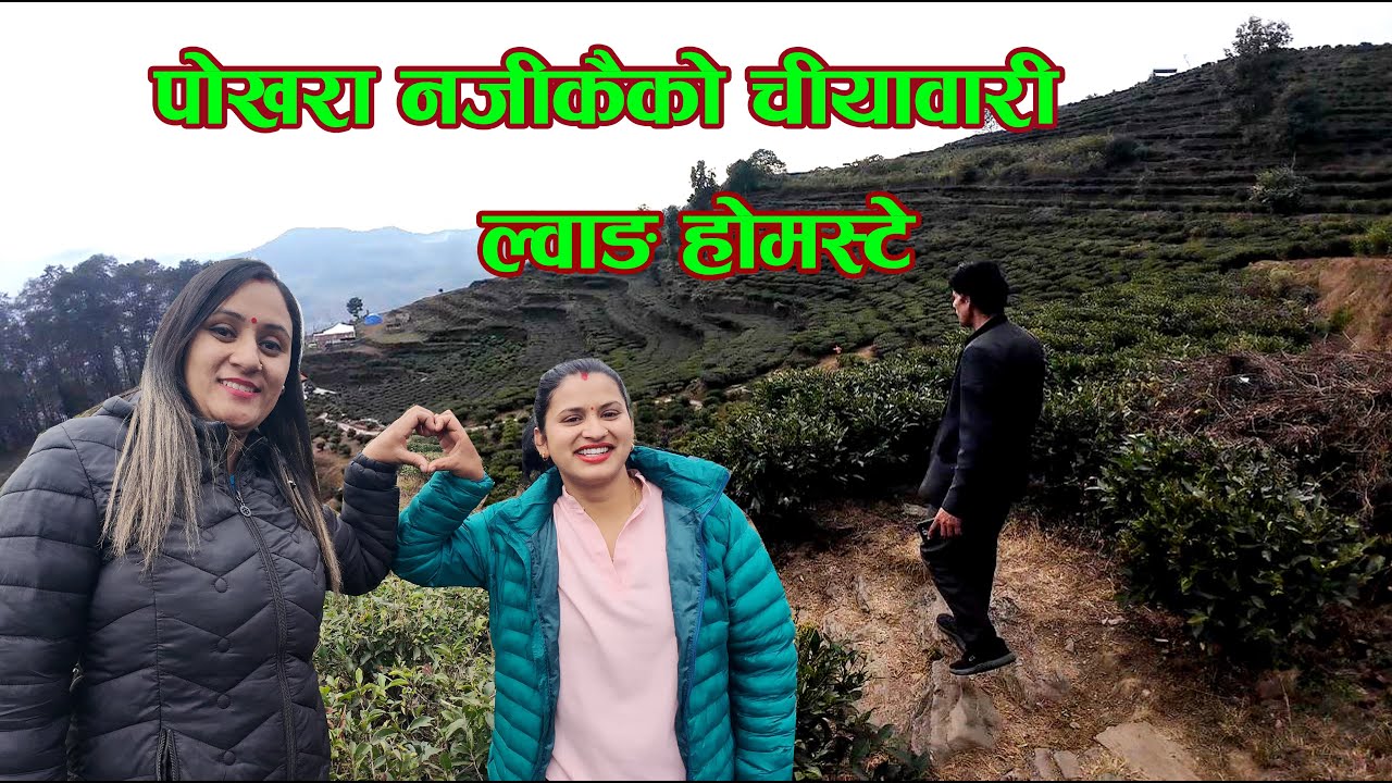 Beautiful Tea Garden | Lwang Village - YouTube