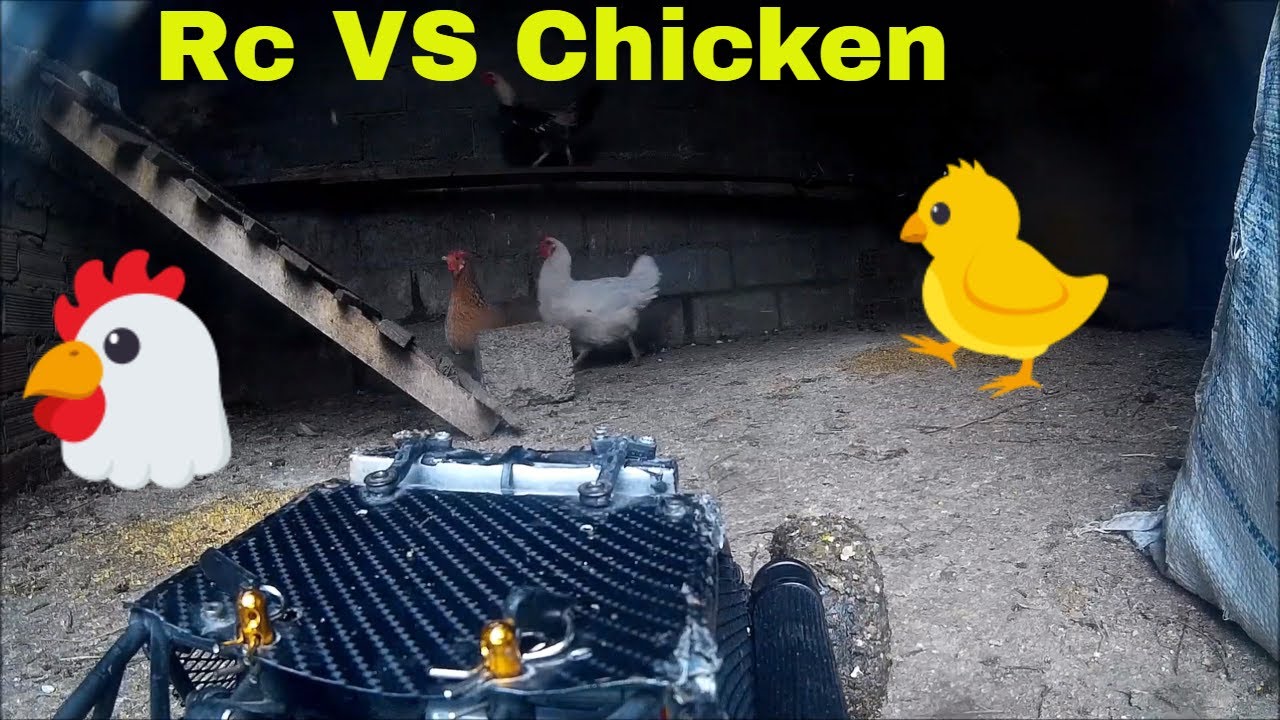 Rc vs Animals Chasing Grandmas Chicken with my Rc Truck. - YouTube