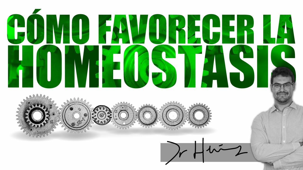 QUÉ ES LA HOMEOSTASIS | Cómo Conseguir El Equilibrio Natural ...