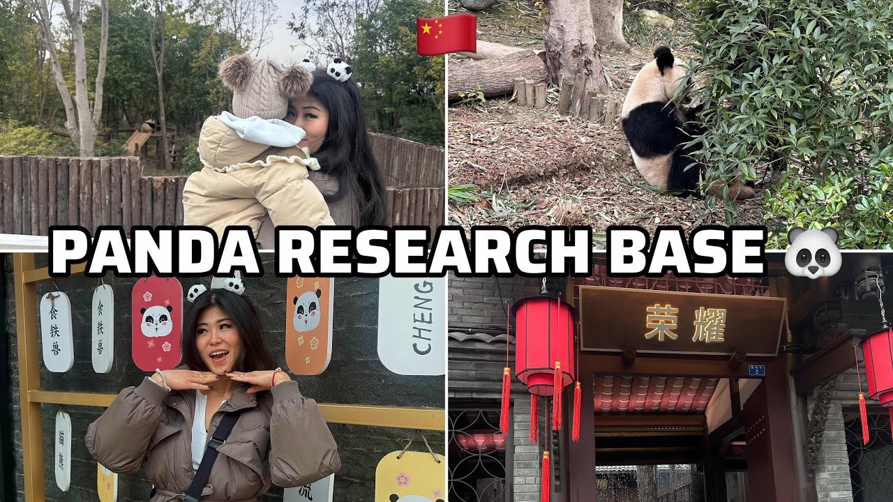 WIR HABEN PANDAS GESEHEN 🐼😍| LETZTER TAG IN CHENGDU 🥲 | VLOG 🇨🇳 - YouTube