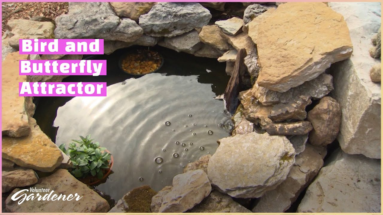 DIY Water Features | Volunteer Gardener - YouTube