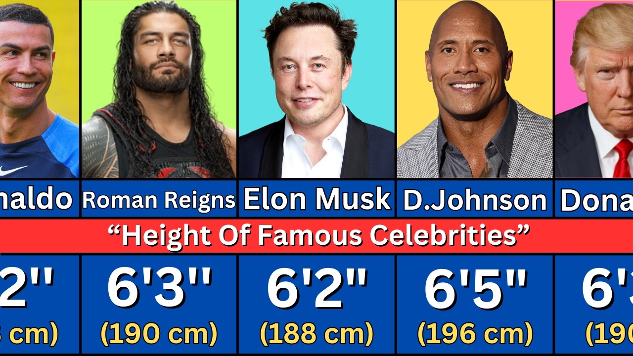 Height Comparison Of Famous People: Hollywood, Bollywood, Sports Stars ...