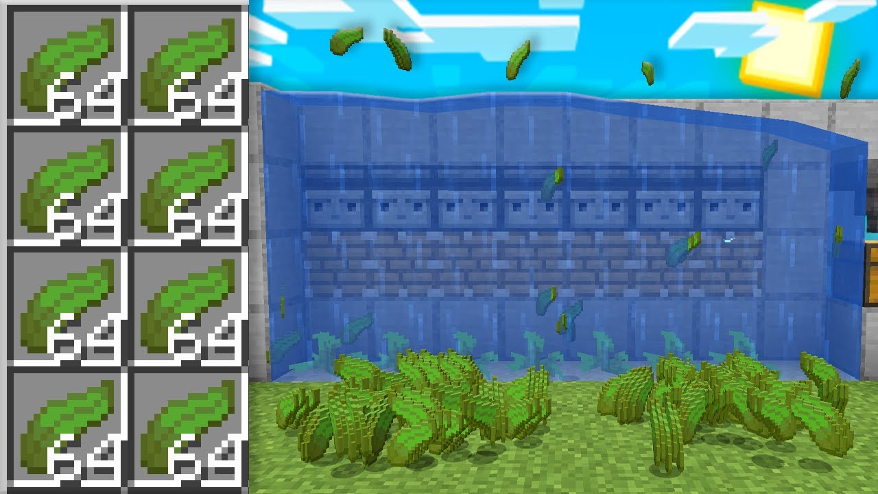 ️ FARM DE ALGAS super FÁCIL e RÁPIDO - MINECRAFT (KELP FARM) - YouTube