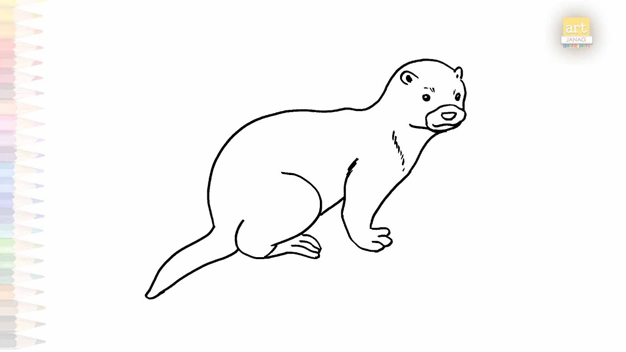 Mink animal drawings | Outline drawings | How to draw A Mink step by ...