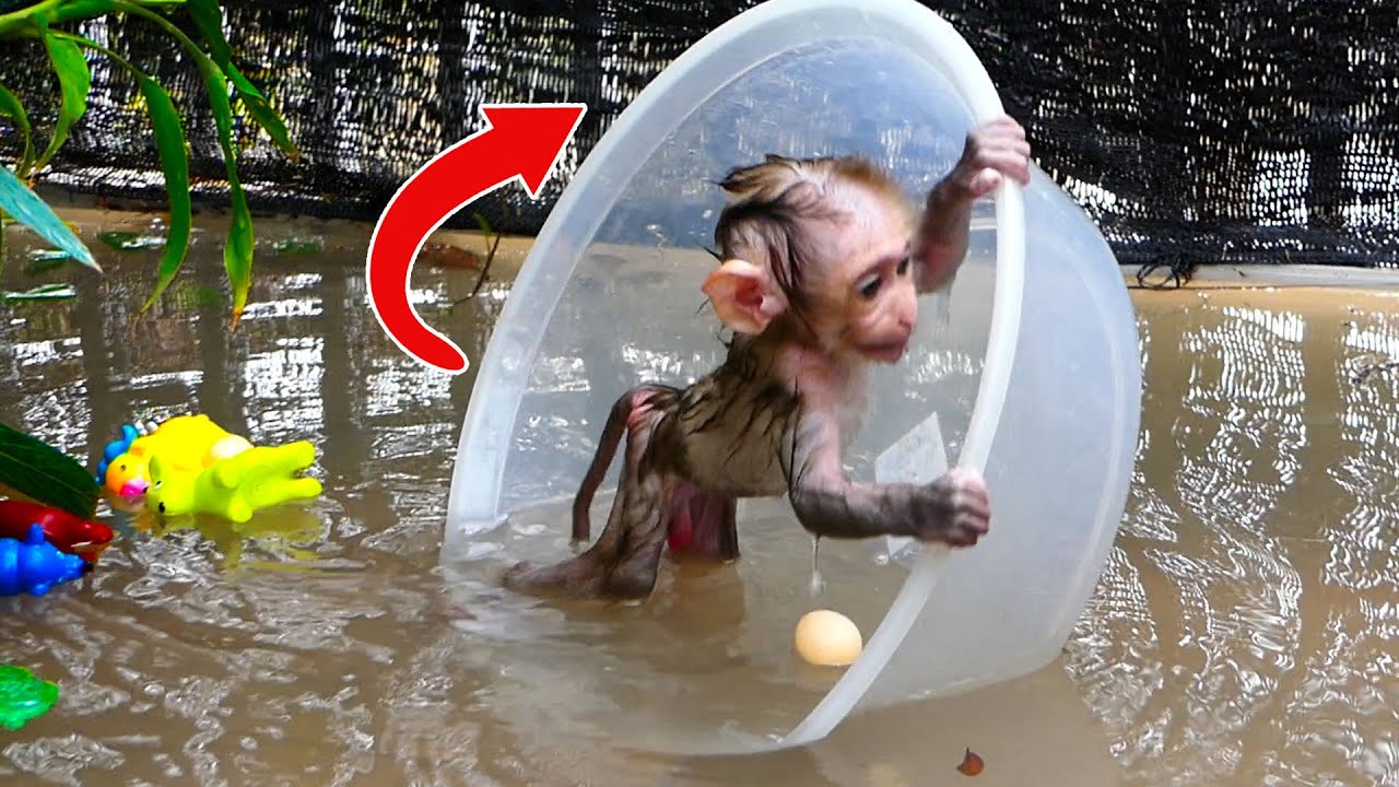 Super Brave Baby Axel So Enjoy Playing Water In Front Of The House ...