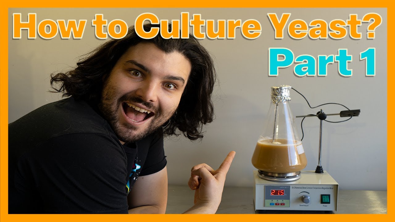 How to Culture Yeast? Part 1 - Harvesting and Rinsing Yeast - YouTube