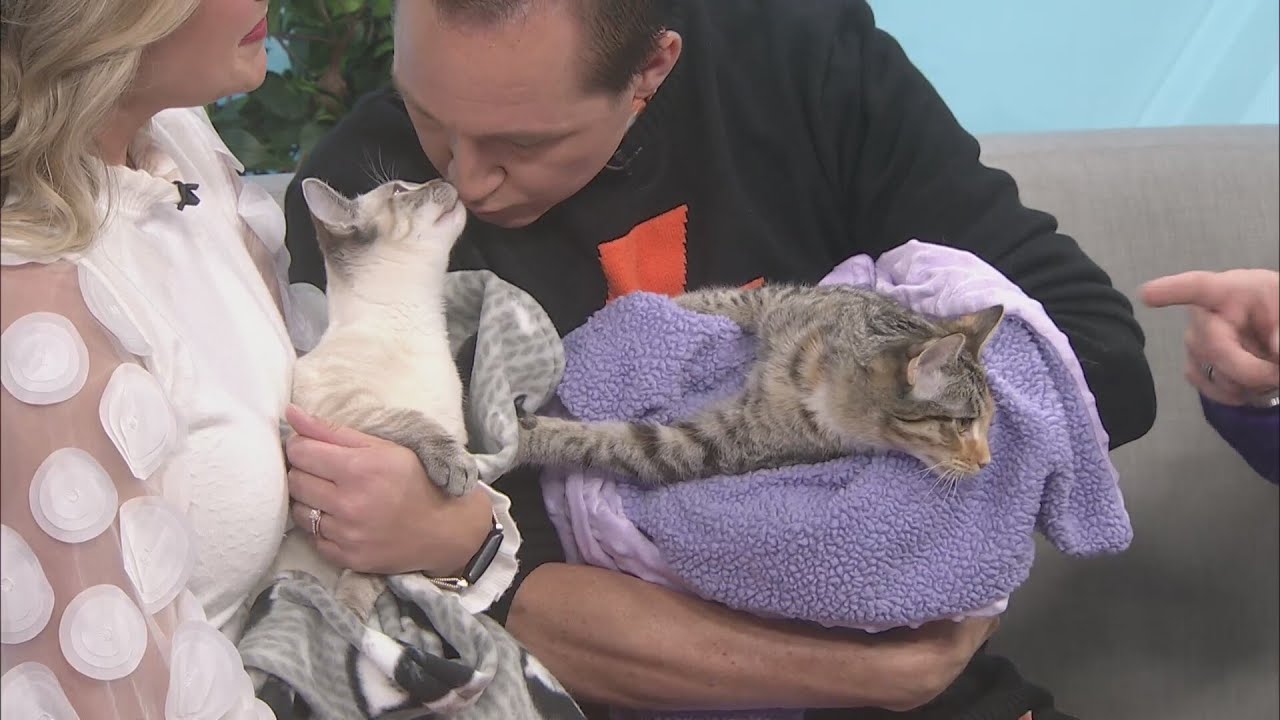 Sponsored content: Shelter Spotlight: Evie & Oliver - YouTube