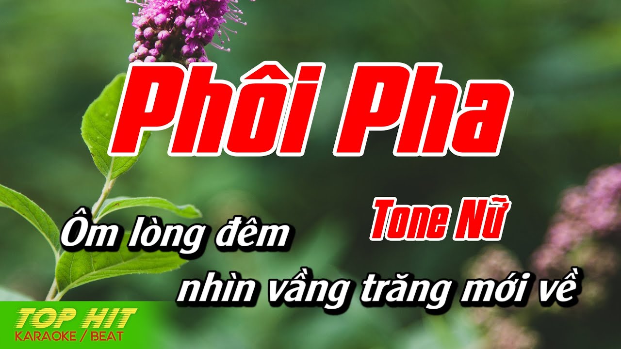 Phôi Pha Karaoke Tone Nữ | Nhạc Sống Mới Dễ Hát TOP HIT KARAOKE - YouTube