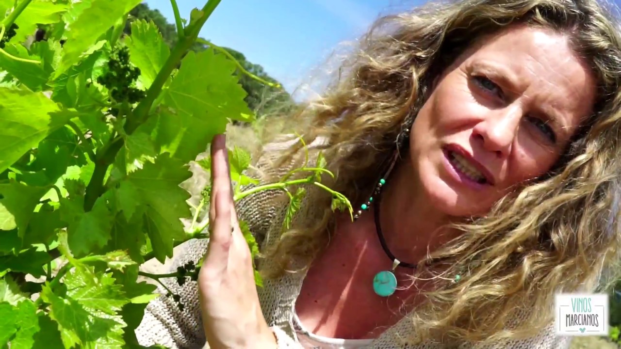 Isabel Galindo's Instagram, Twitter & Facebook on IDCrawl