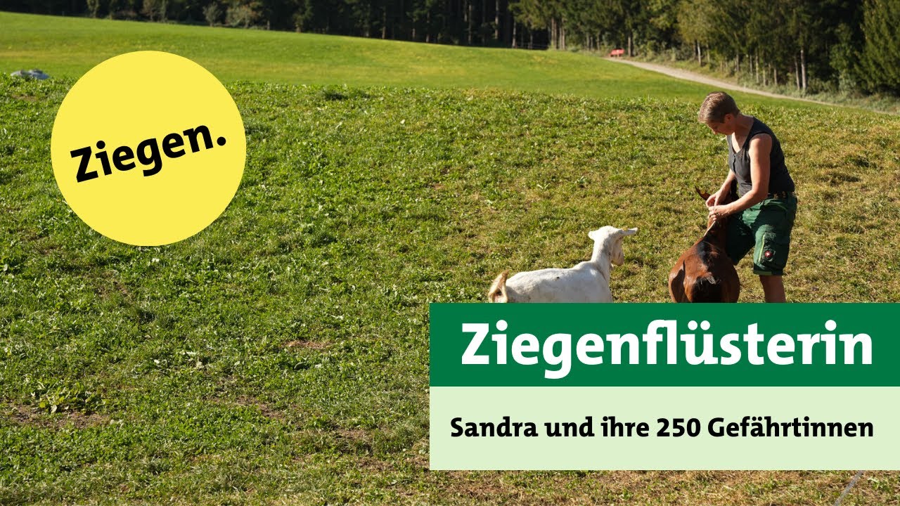 Sandra und ihre 250 Ziegen - YouTube