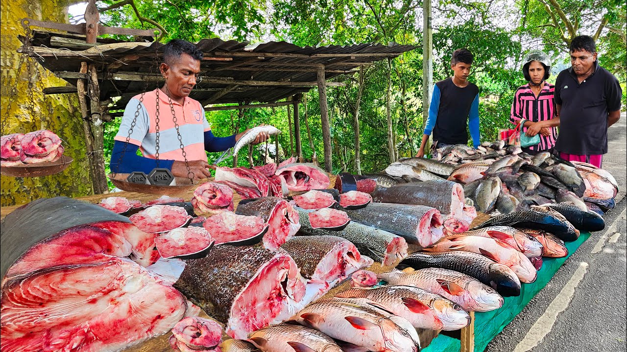 Amazing! Rural Village Beautiful Street Fish Market Crazy Fishmonger's ...