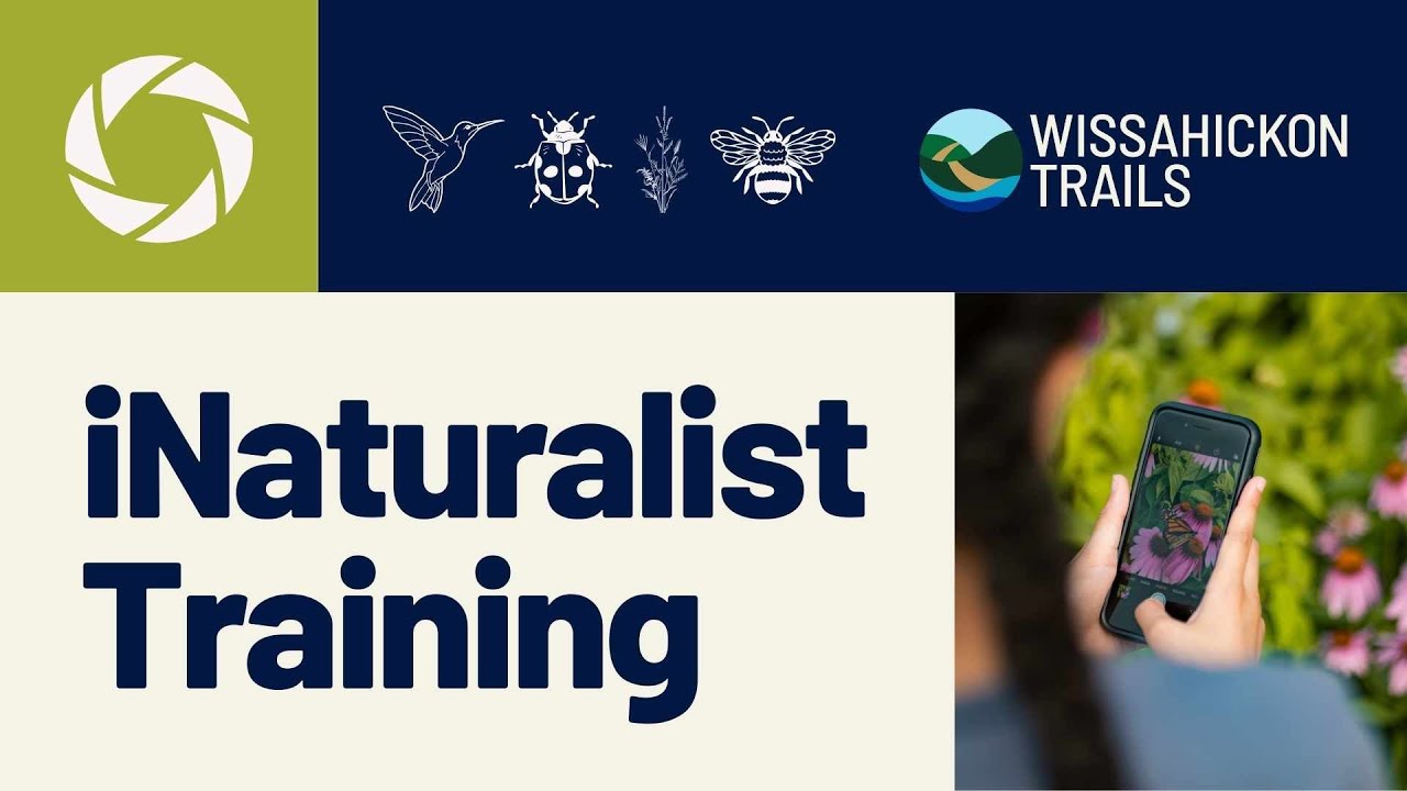 Discover Nature with iNaturalist! | Full Training Session - YouTube