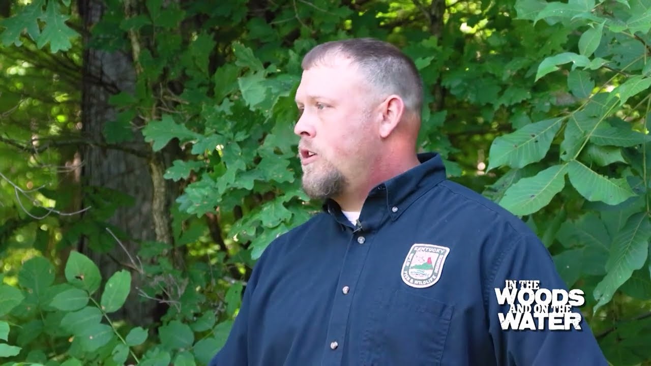 How KDFWR can help you manage Wildlife on your Property - YouTube