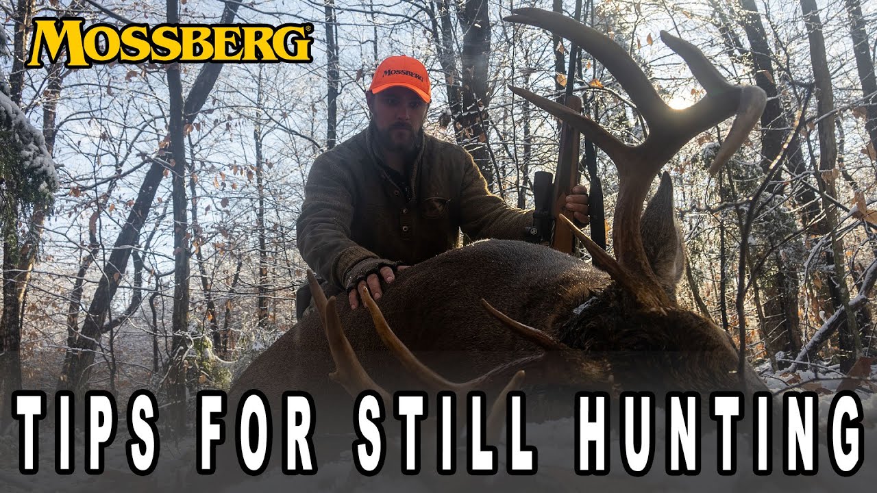 Tips For Still Hunting Whitetails - YouTube