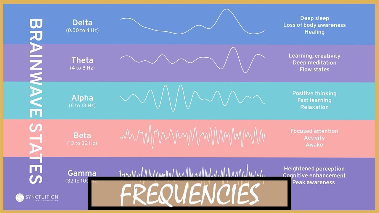 HUMAN BRAIN WAVES | STATES OF CONSCIOUSNESS | HEMI SYNC - YouTube