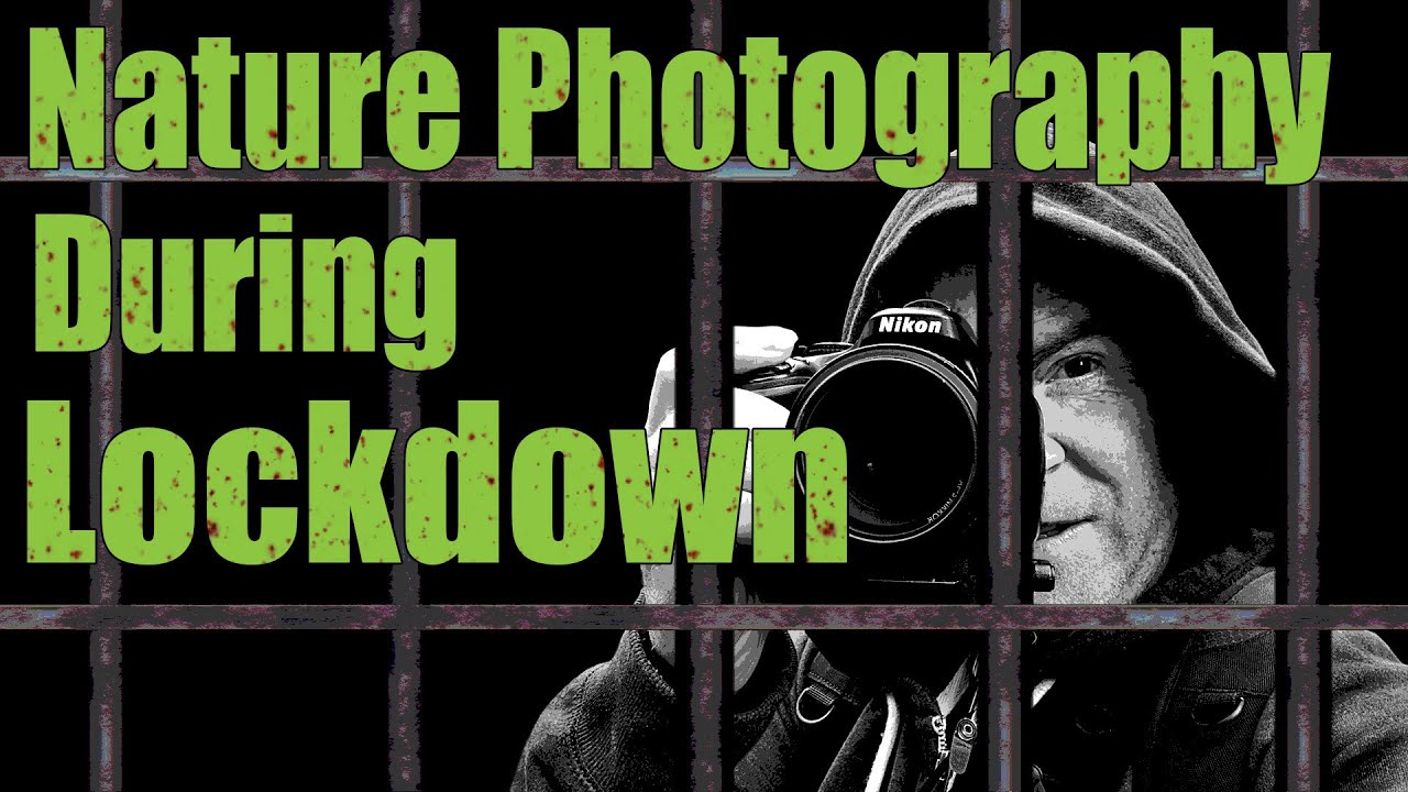 Nature Photography During Lockdown - Nature Photography Ideas At Home ...