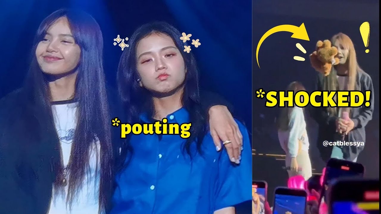 Lisa was shocked and upset to a fan who throw her with this item during ...