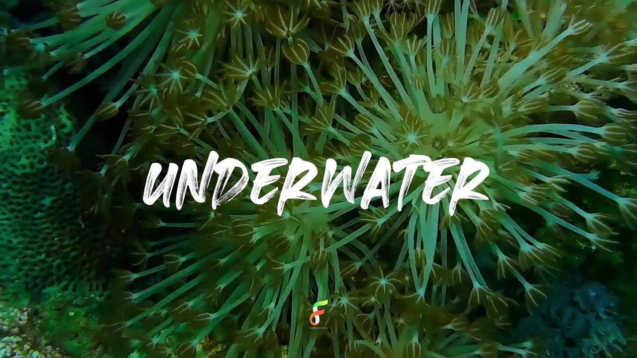 Underwater No Copyright Videos With No Copyright Relaxing Music - Free ...