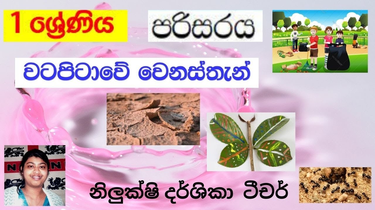 Grade 1 Sinhala Lessons / පරිසරය වටපිටාවේ වෙනස් තැන් /parisaraya ...