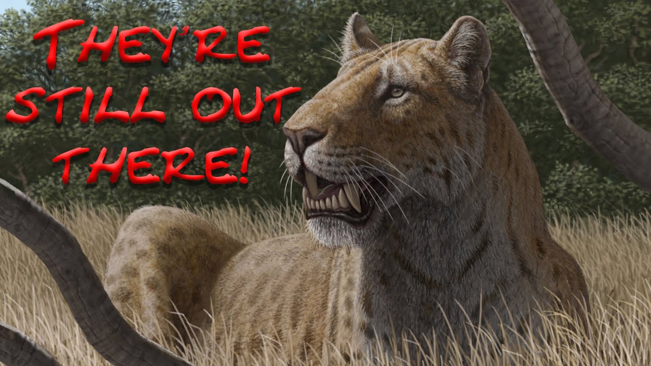 99. Living Sabertooth Cats - YouTube