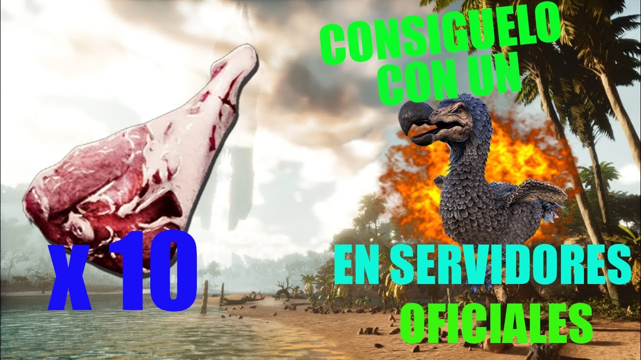 😱🔴como CONSEGUIR CARNE DE PRIMERA FACIL EN ARK SURVIVAL ASCENDED😱🔴 ...