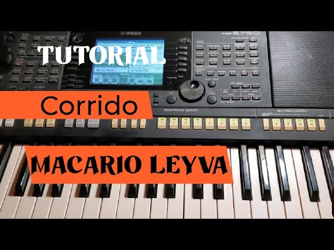 Tutorial Corrido Macario Leyva - YouTube