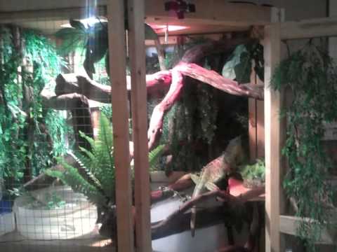 Homemade Reptile Enclosures - YouTube