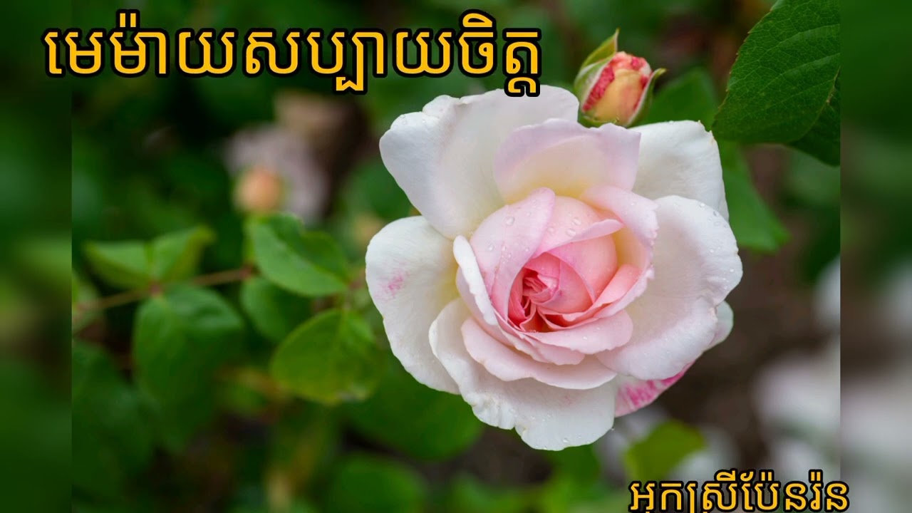 មេម៉ាយសប្បាយចិត្ត បកស្រាយចំរៀងដោយអ្នកស្រីប៉ែនរ៉ន| Happy Widow ...