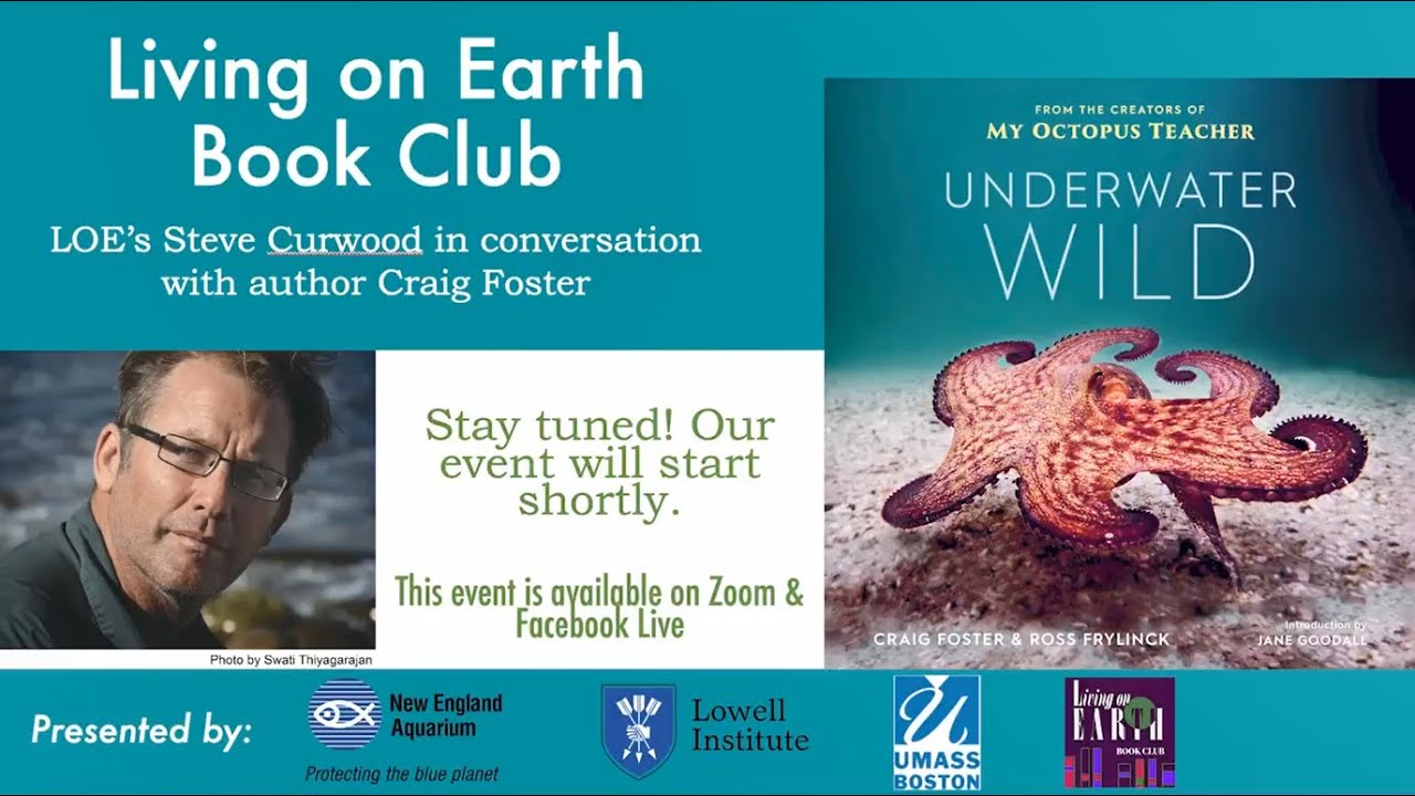 Underwater Wild: My Octopus Teacher's Extraordinary World -- Craig Foster & Living on Earth ...