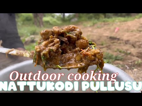Delicious country chicken // one of my best outdoor cooking #village ...