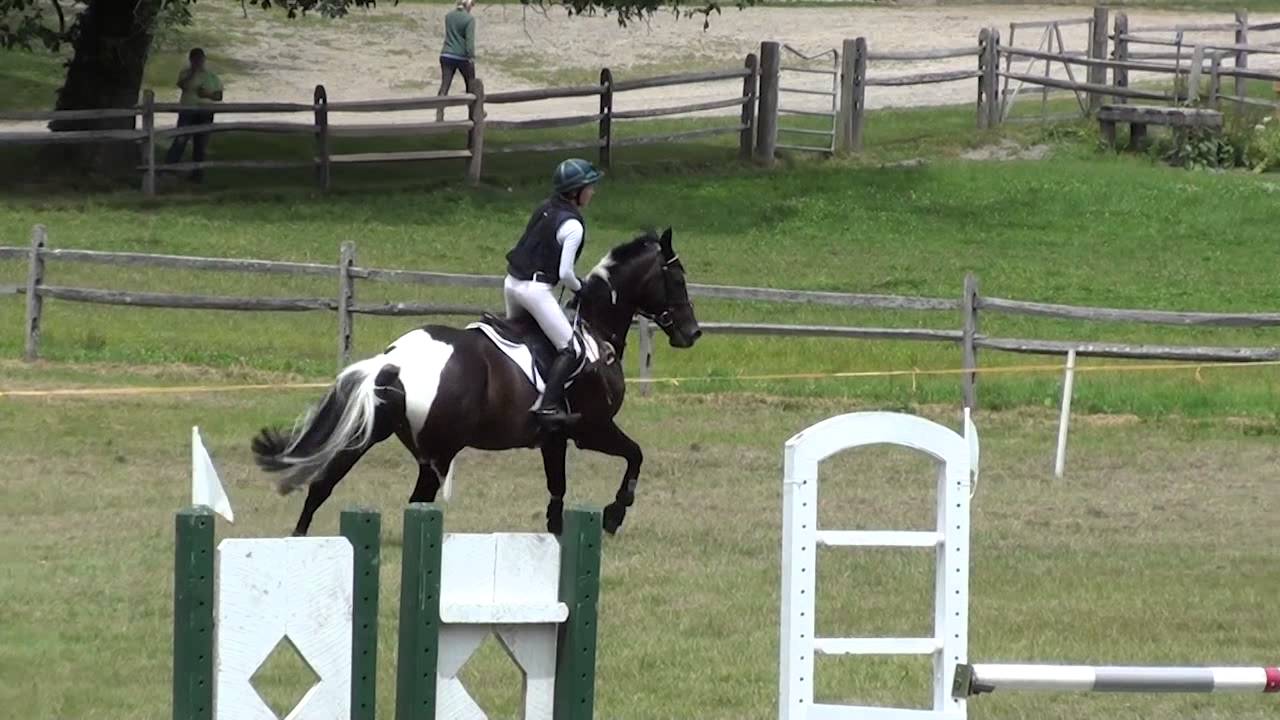 Cornelia Dorr & Sir Patico MH Groton House Horse Trials 2015 - YouTube