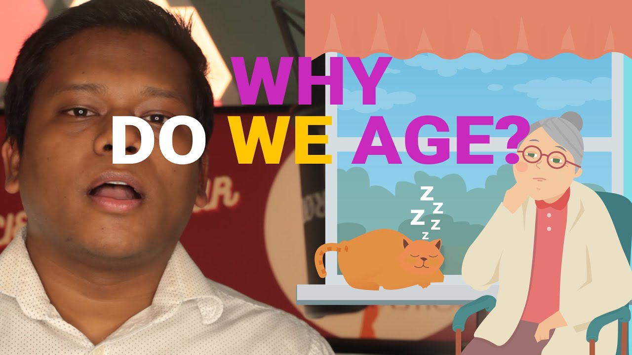 Scientist Explains Aging; Why Do We Age? - YouTube