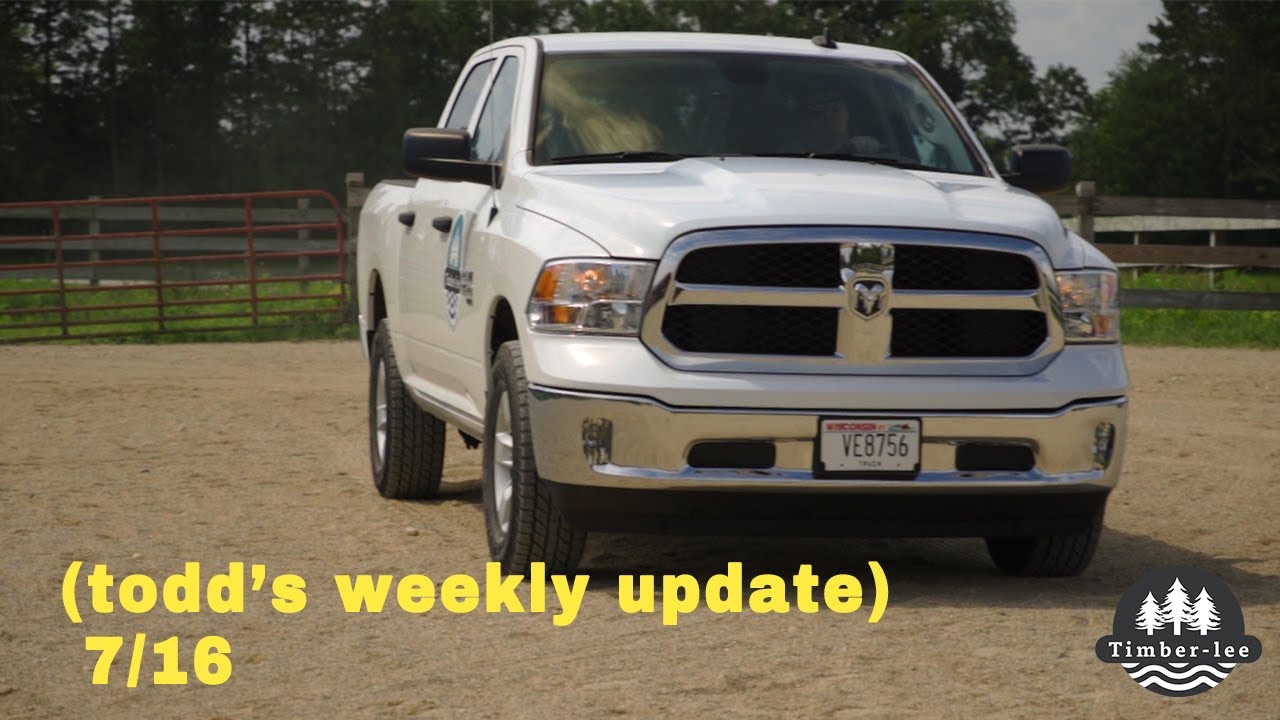 Todd Weekly 7/16 - YouTube