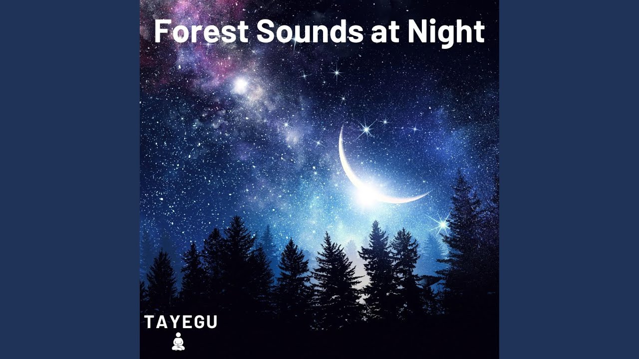 Forest Sounds at Night Sleep 1 Hour Crickets Owls and Frogs Relaxing ...