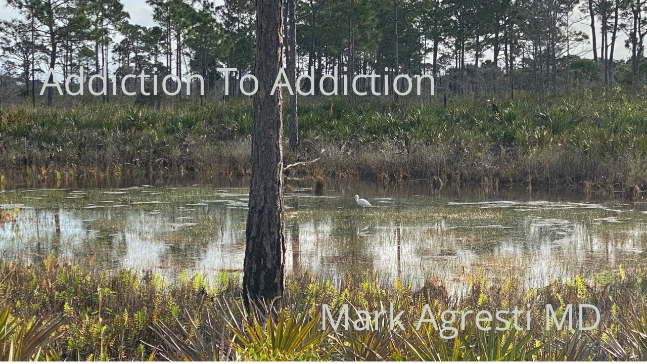 The Cycle Of Addiction | The Best Explanation of Addiction | Mark ...