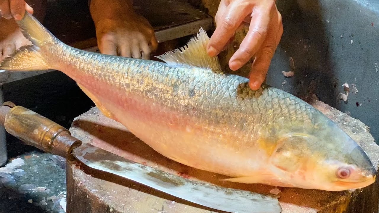 Big Hilsa (ilish) Fish Cutting Live In Bangladesh Fish Market | Amazing ...