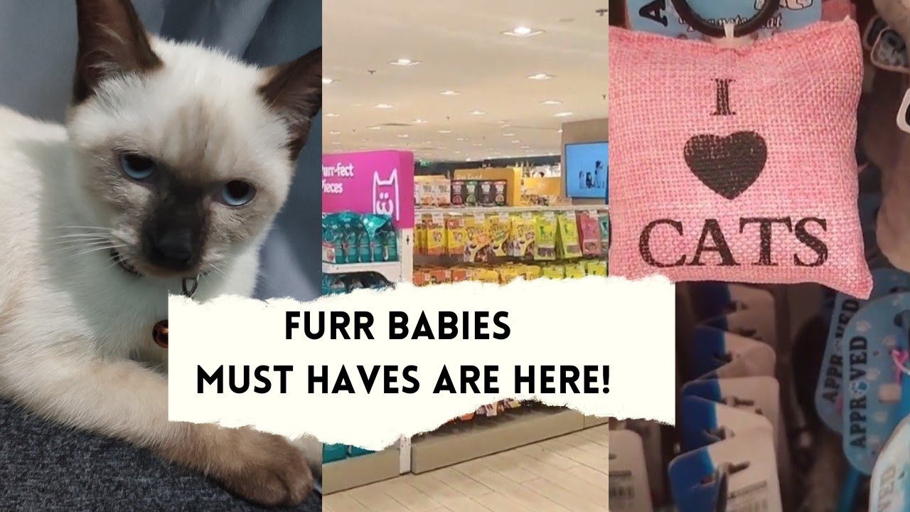 LIVING IN THE PHILIPPINES|HUGE PET SUPPLY STORE IN SM NORTH|FURR BABIES ...