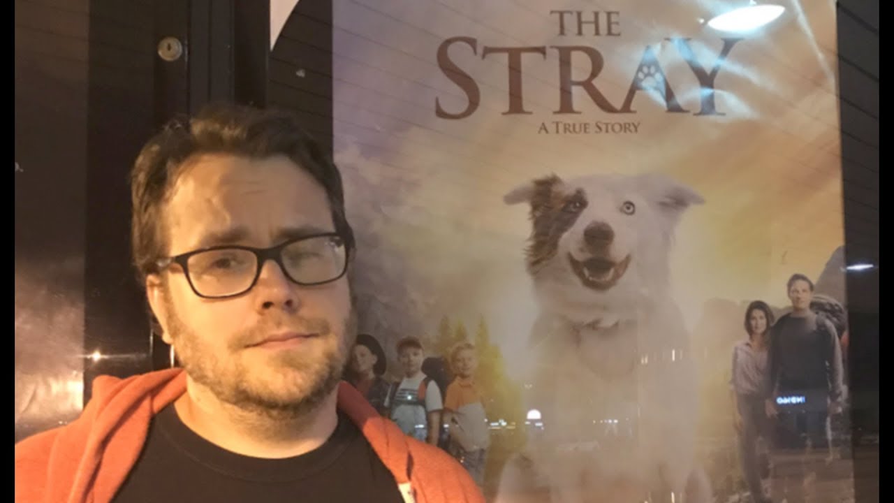 Midnight Screenings - The Stray - YouTube