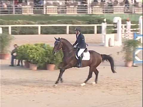 File della Caccia ( Acorado x Tin Rocco x Cantus ) Italian Stallion ...