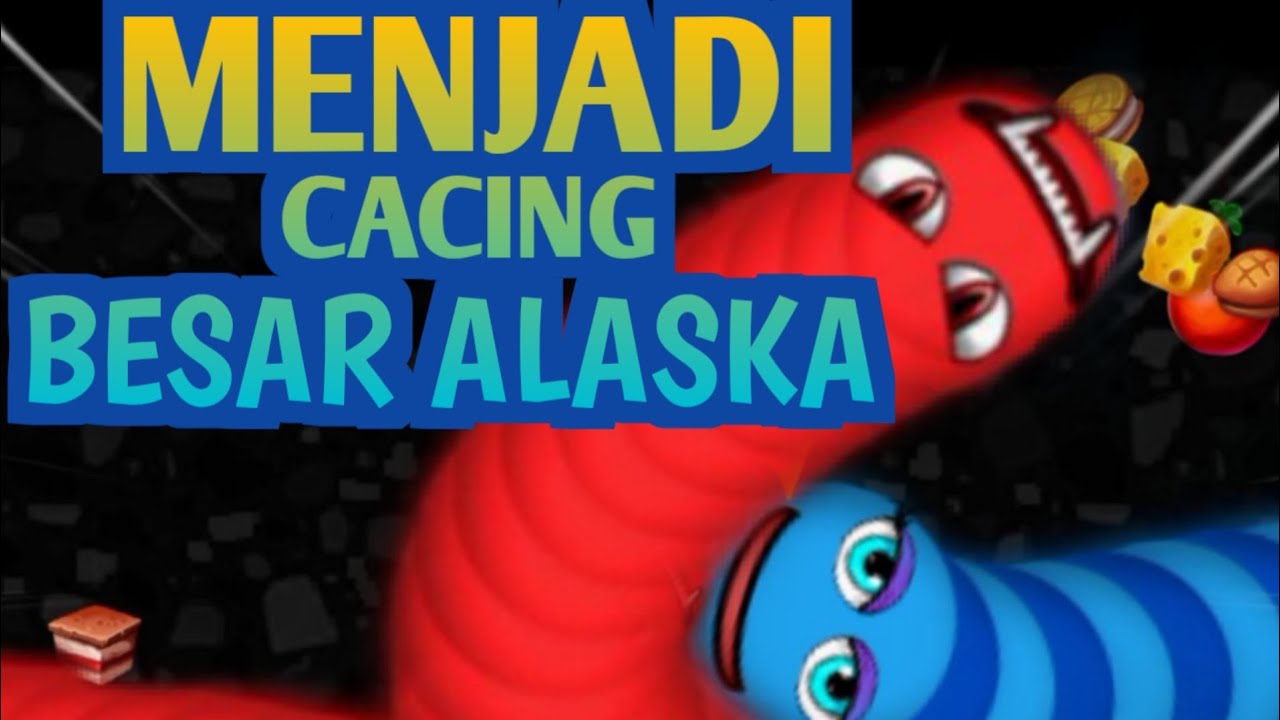MENJADI CACING BESAR ALASKA - YouTube