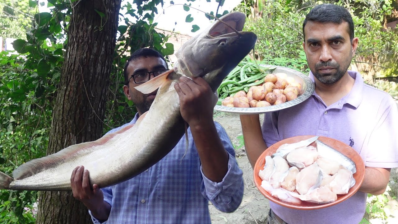 Expensive and Delicious Wallago Fish With Potato Curry | নদীর বিশাল ...