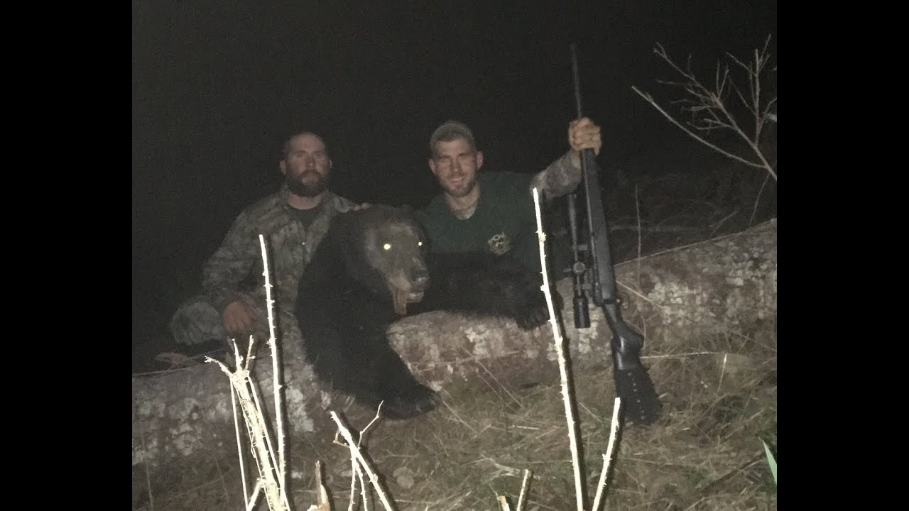 Spring bear Oregon 2019 full video (Official Score: 19 3/16) - YouTube