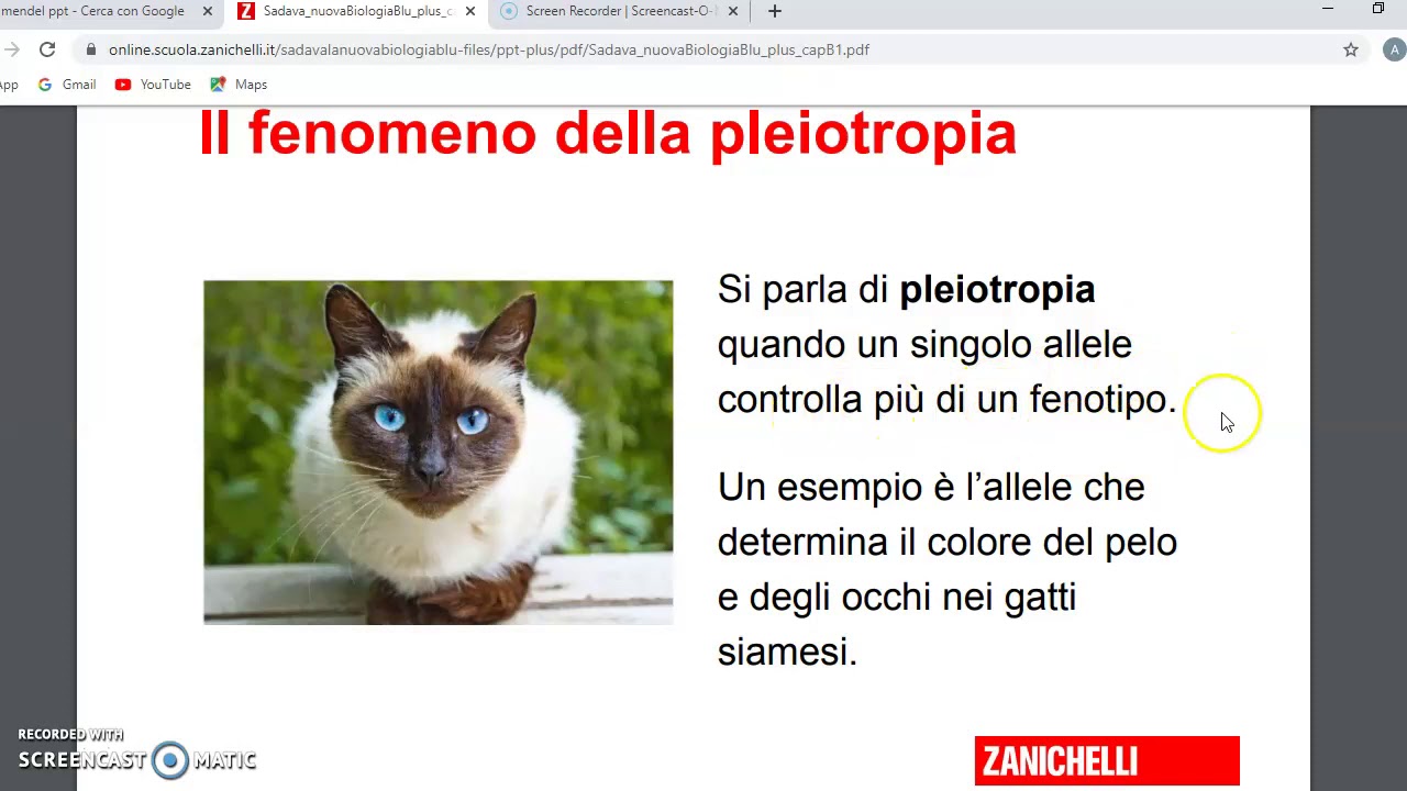 POLIALLELIA, CODOMINANZA, PLEIOTROPIA, CARATTERI L - YouTube