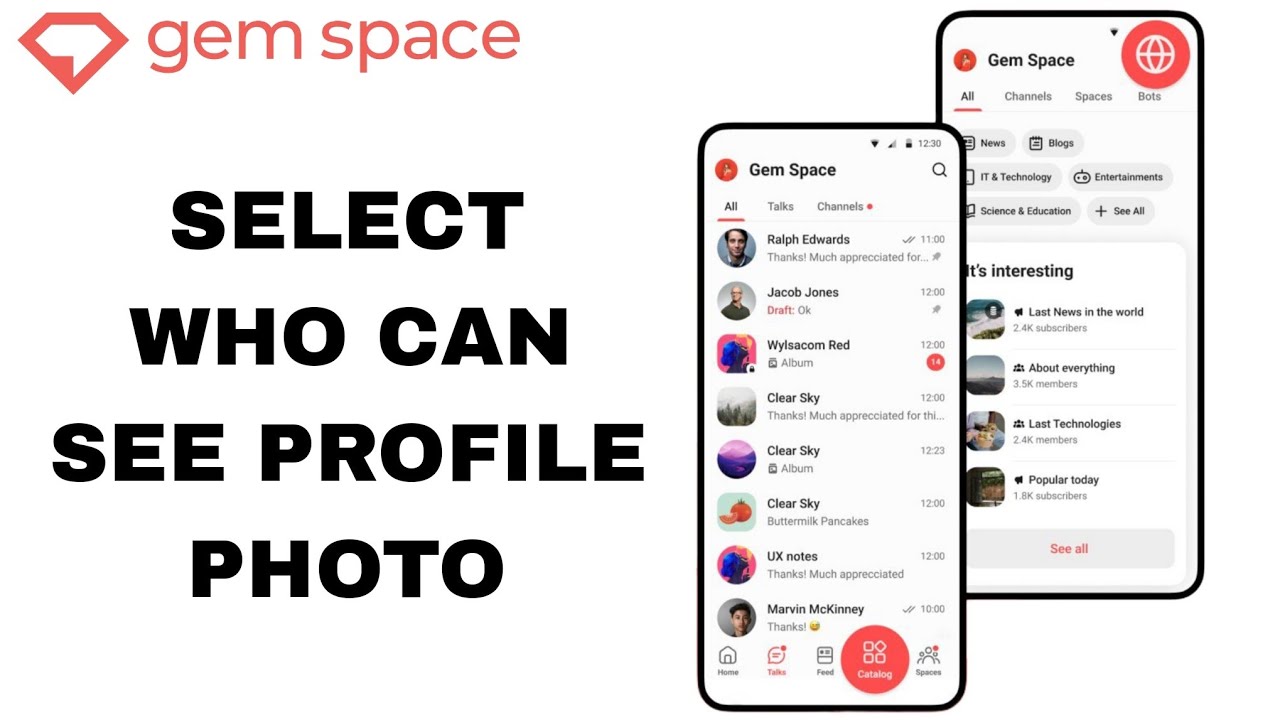 How To Select Who Can See Profile Photo On Gem Space App - YouTube