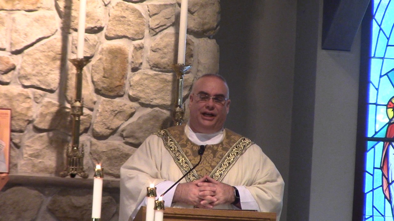 Father John Homily on Most Holy Trinity Sunday - YouTube