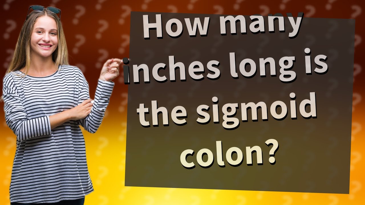 How many inches long is the sigmoid colon? - YouTube