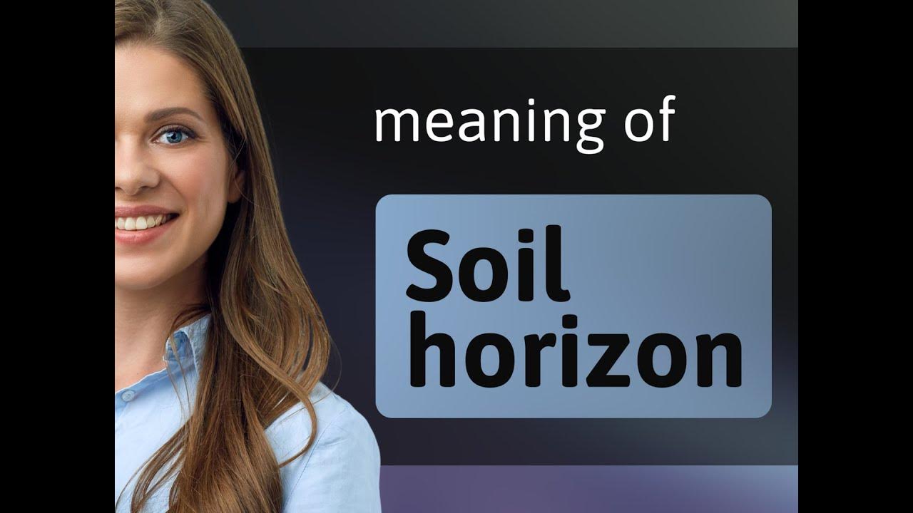 Soil Horizon SOIL HORIZON Definition YouTube soil-horizon-soil-horizon-definition-youtube