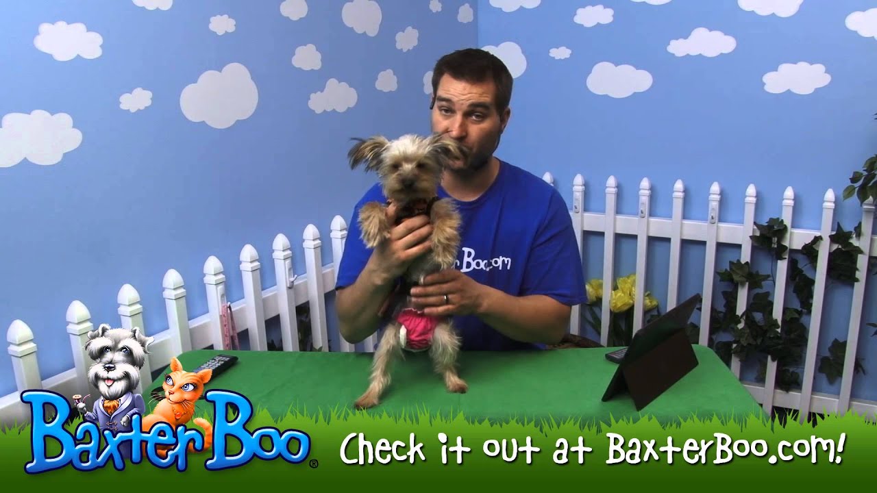 Houndstooth Bat Dog Tank and Tutu Set - YouTube