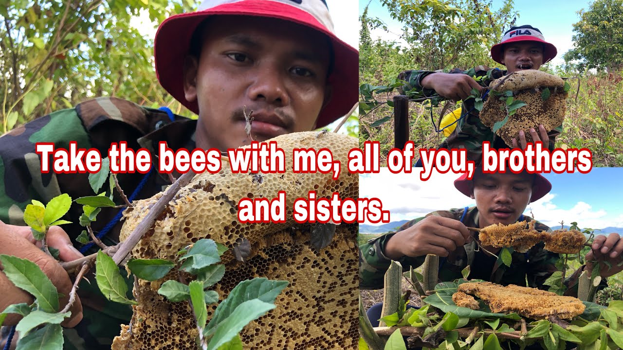Get all the bees, brothers and sisters. - YouTube